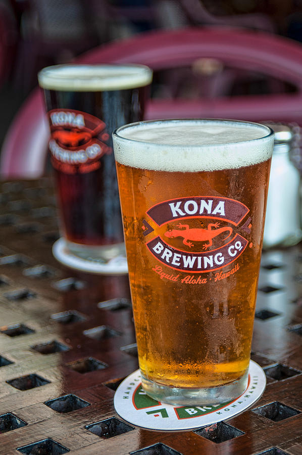 Castaway IPA Photograph by Dan McManus - Pixels