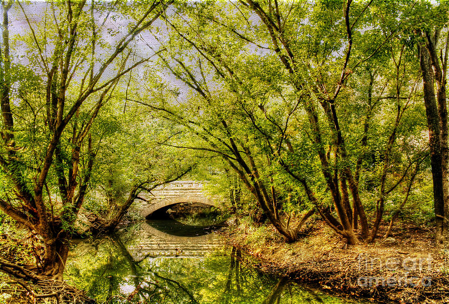 Cherokee Park Photograph by Darren Fisher - Pixels