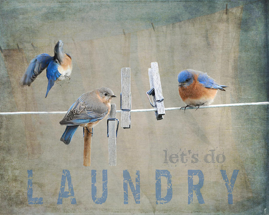 Laundry Day - Lets Do Laundry Photograph by Jai Johnson - Pixels