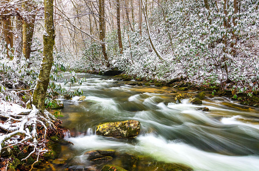 Martins Fork winter by Anthony Heflin