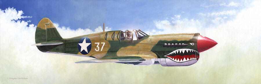 P-40E Warhawk Painting by Douglas Castleman - Pixels