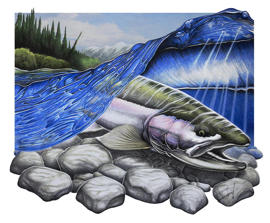 Steelhead Dreams by Nick Laferriere