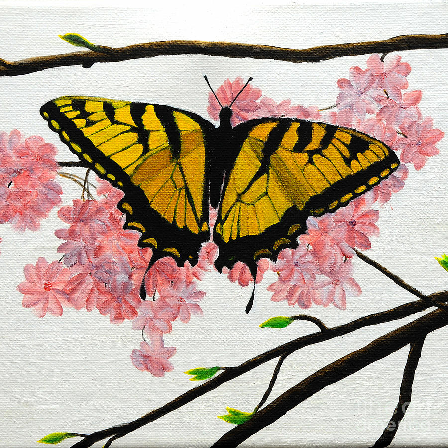 Swallowtail in Cherry Blossoms by Jane Axman