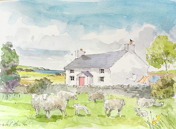 Lambing Time Greeting Card by Annabel Burton