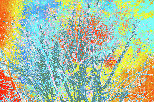Winter Branches 165 Coffee Mug by Chris Taggart - Pixels