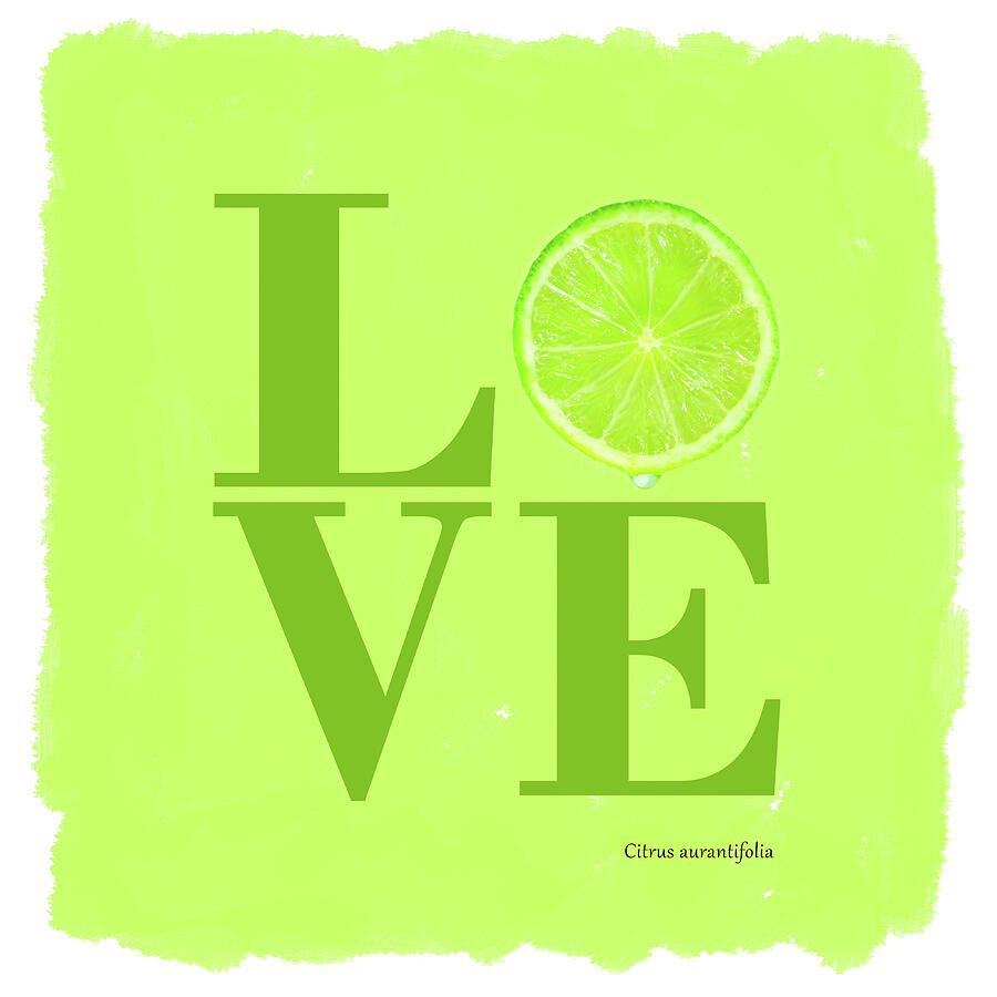 Love Lime Photograph by Mark Rogan - Pixels