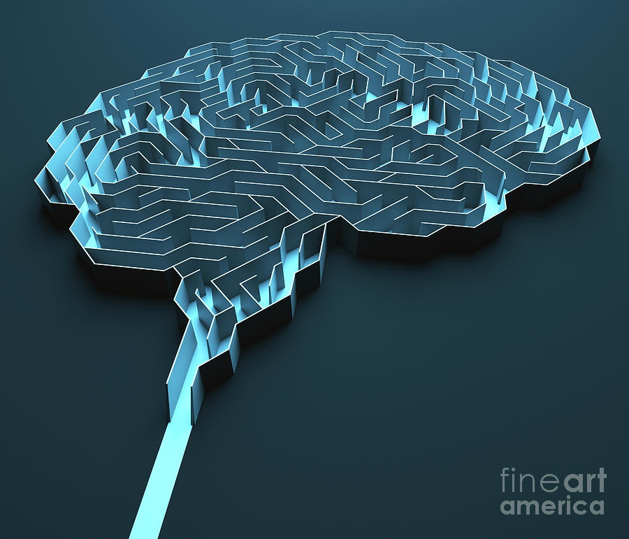 Human Brain #3 Photograph by Ktsdesign / Sciencephotolibrary - Pixels