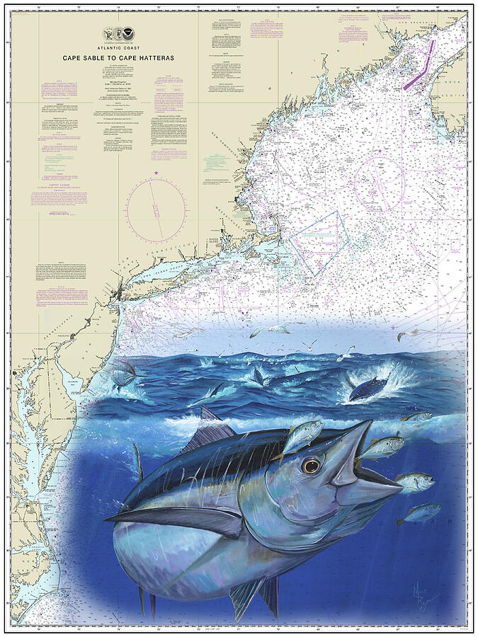 Bluefin Tuna Chart Painting by Mark Ray - Pixels