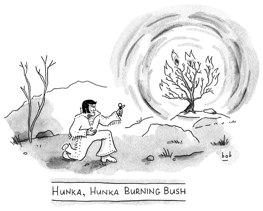 Hunka, Hunka Burning Bush Drawing by Bob Eckstein - Pixels