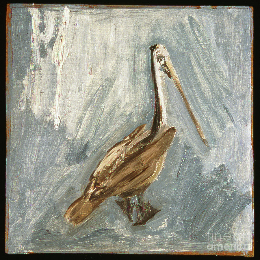 Pelican Painting by David Alan Redpath Michie - Pixels