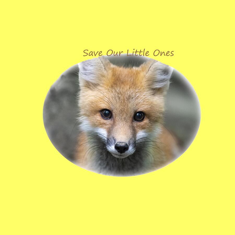 Save Our Little Ones by Daniel Friend