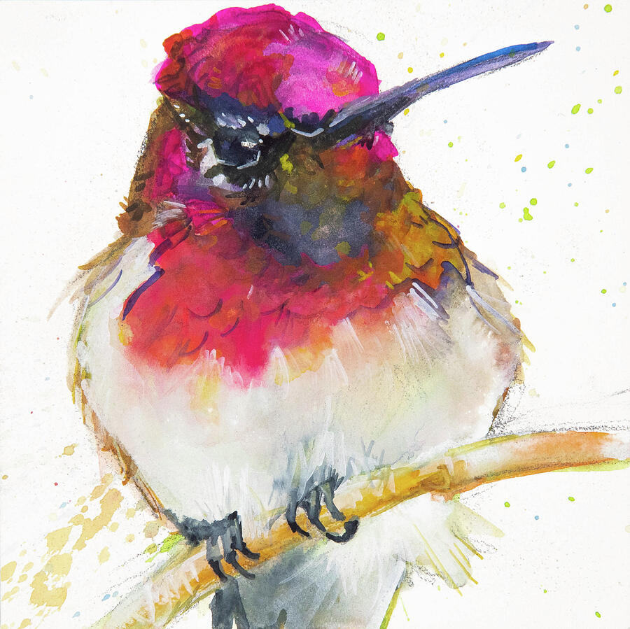 Annas Hummingbird by Jani Freimann