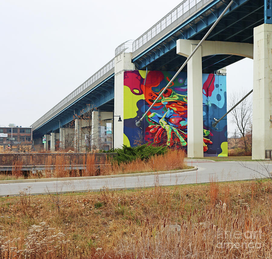 Anthony Wayne Bridge Frog Mural-Toledo Ohio 4115 Photograph by Jack ...