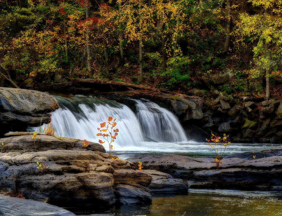 Autumn Waterfall Scene by Dan Friend