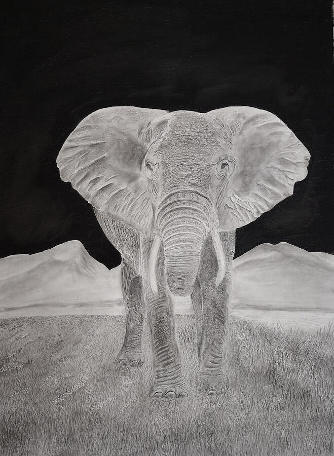 Bull Elephant Painting by Stephen W Keller - Pixels