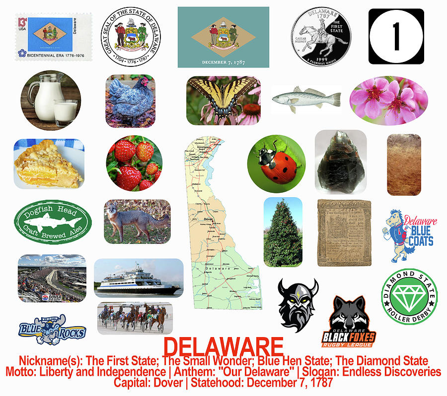 Delaware State Symbols Photograph by Robert Banach - Pixels