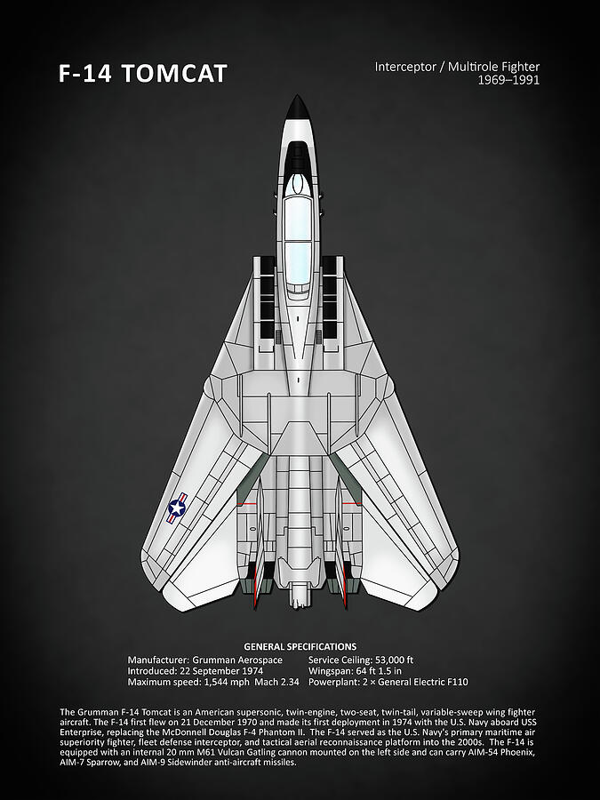 F-14 Tomcat by Mark Rogan