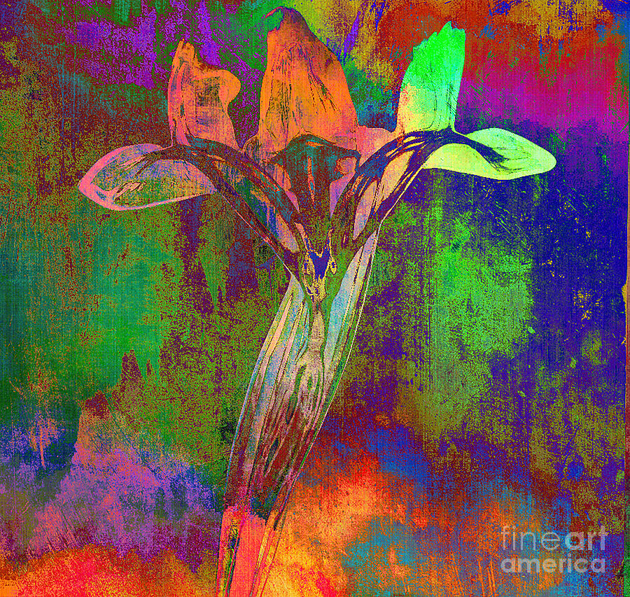 Flower 231 Digital Art by Chris Taggart - Pixels