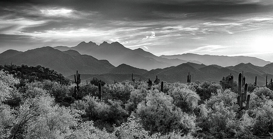 Four Peaks in Black and White by Dave Dilli