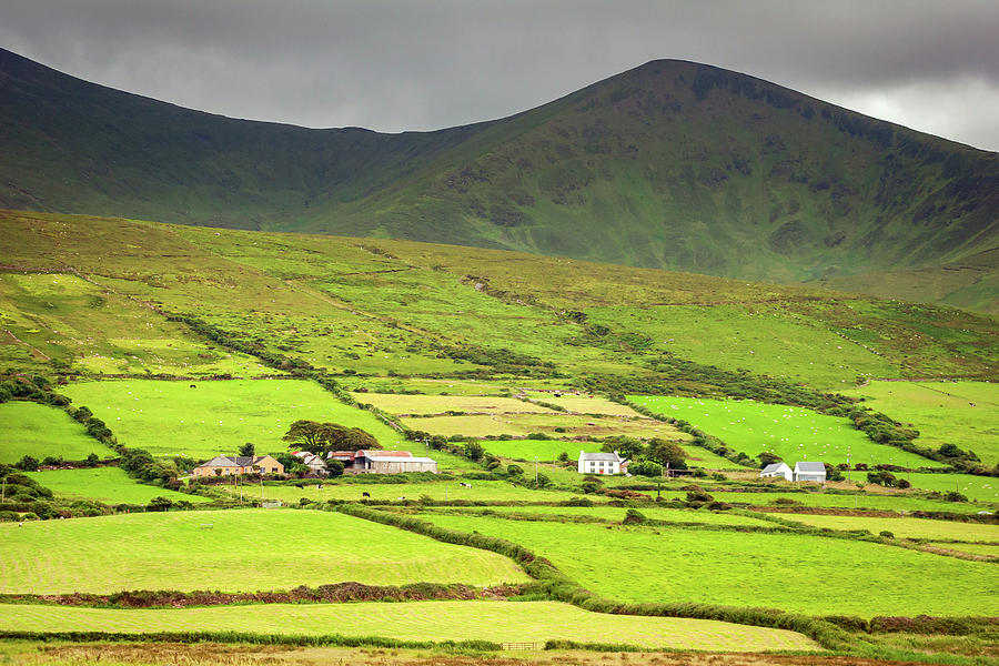 Green Irish Fields Photograph by Pierre Leclerc Photography - Pixels