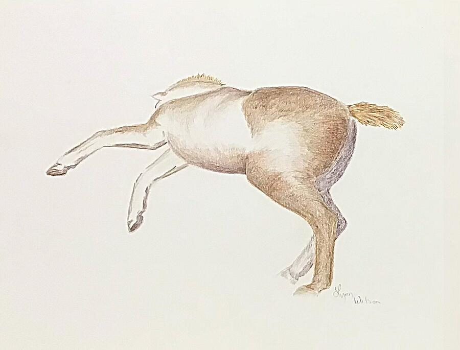 Horse Play by Lynn M Watson
