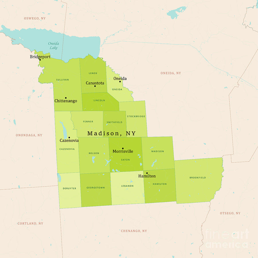 NY Madison Vector Map Green by Frank Ramspott
