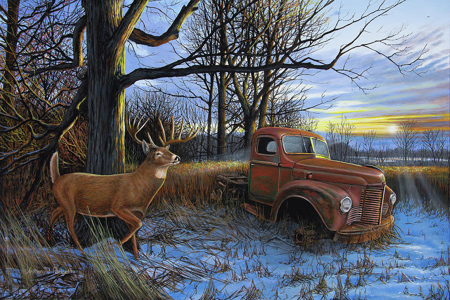Ol' Red and White by Anthony J Padgett