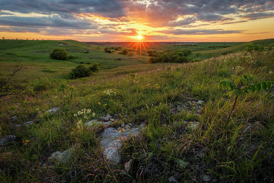 Preview by Scott Bean