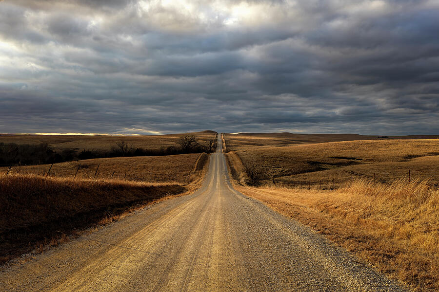 The Road Forward by Scott Bean