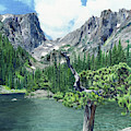 Emily Olson - Official Website