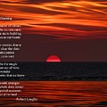 Robert Longley - Official Website